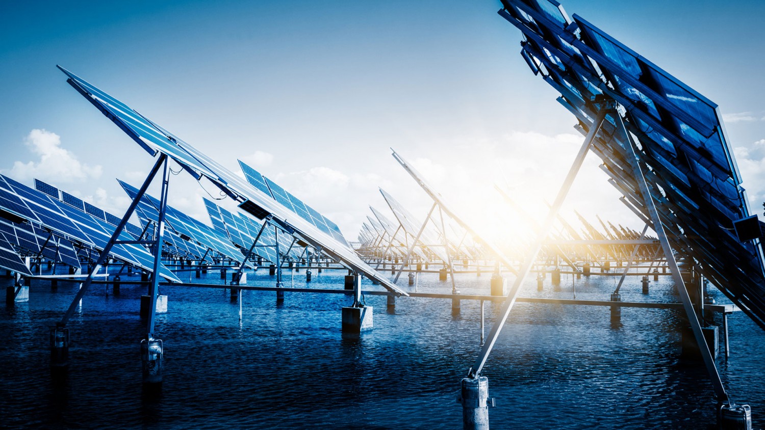 iMember Dashboard - iEnergyGuru